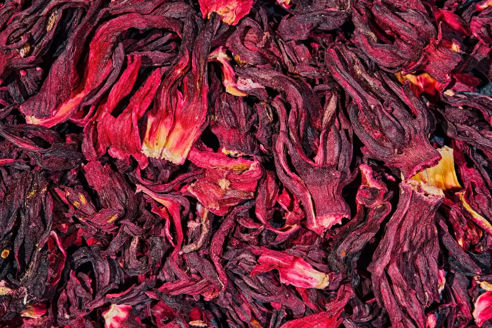 Bulk Dried Hibiscus Flower Exporter Nigeria - Winning Investments Limited